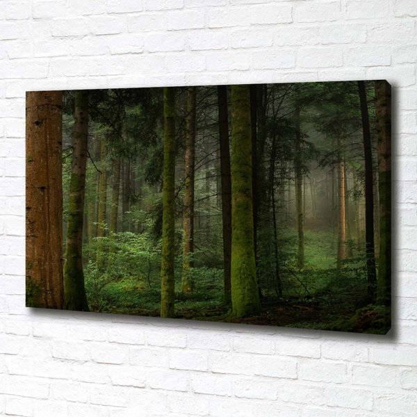 Union Rustic Nebel im Wald - Kunstdrucke auf Leinwand - Wrapped Canvas | Wayfair.de